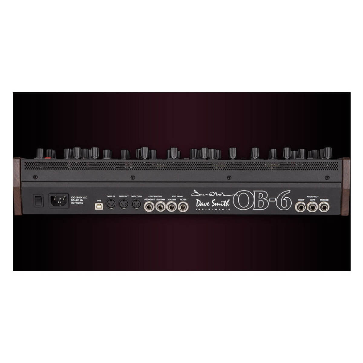 Dave Smith Instruments OB-6 Module • Магазин Шоутехніка